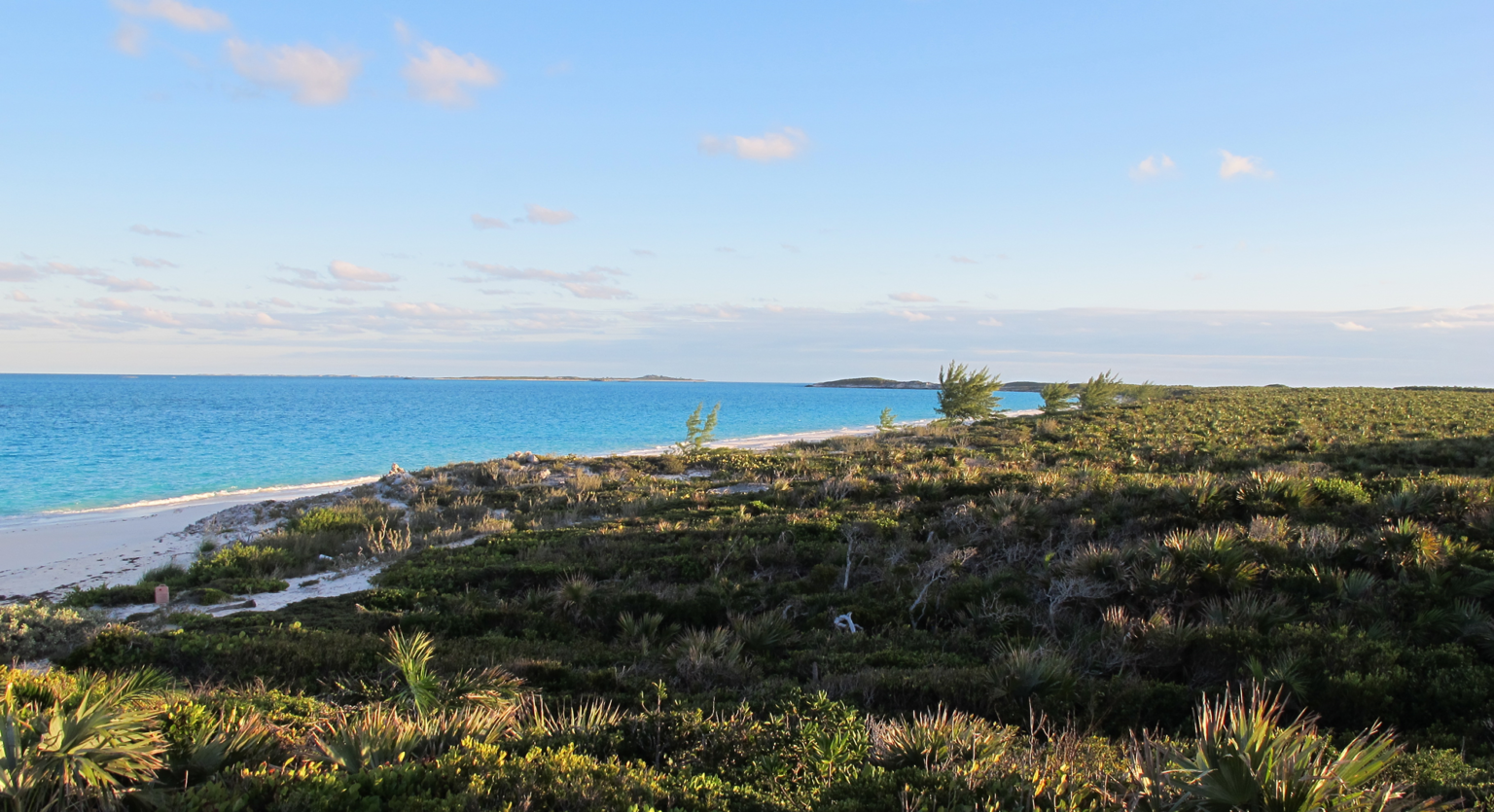 Hawksbill Cay Neighborhood